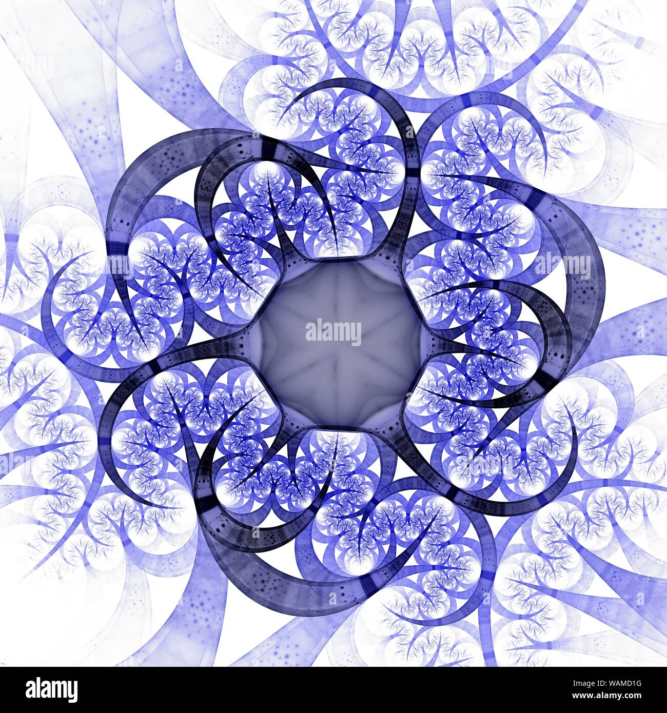 Colorful and blue fractal flower white background Stock Photo - Alamy