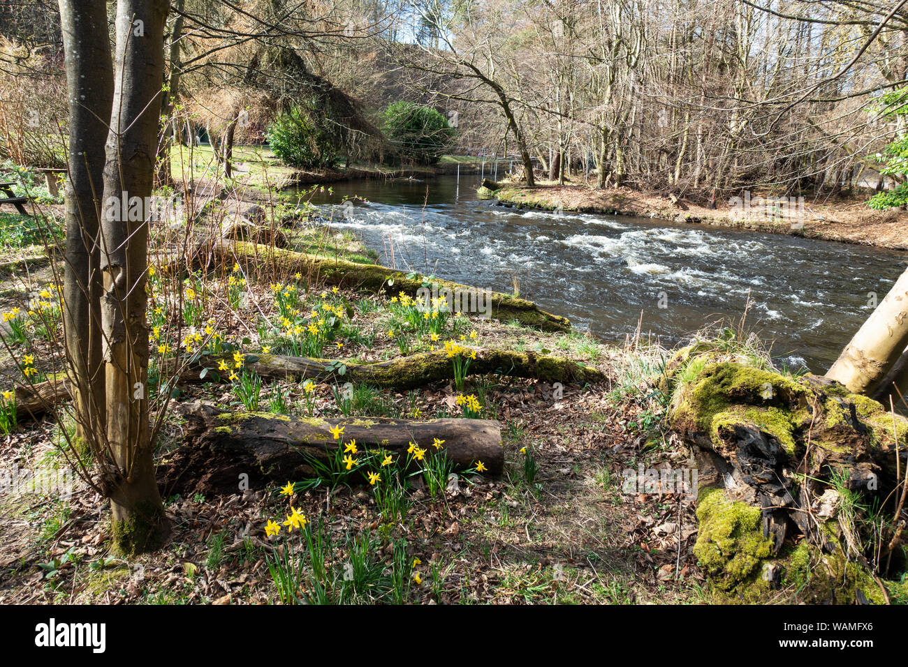 River Don in Seaton Park, Old Aberdeen, Aberdeen, Scotland, UK Stock ...
