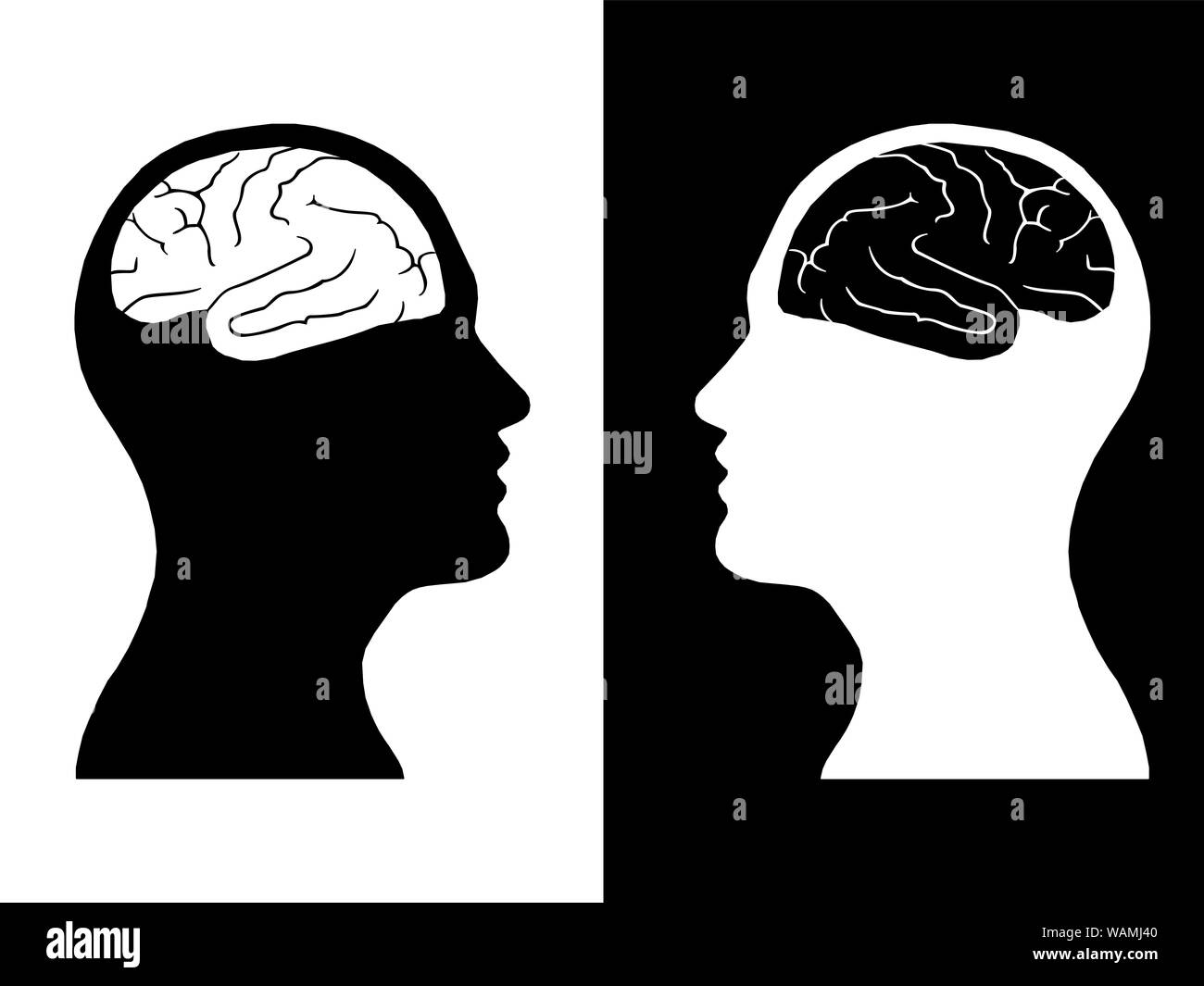 Heads of two people, abstract brain for concept idea, process human ...