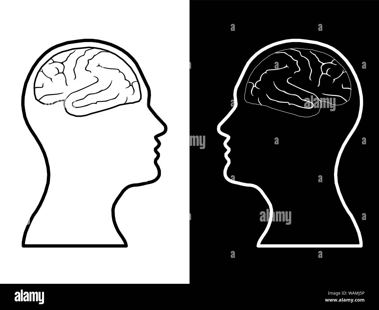Heads of two people, abstract brain for concept idea, process human ...