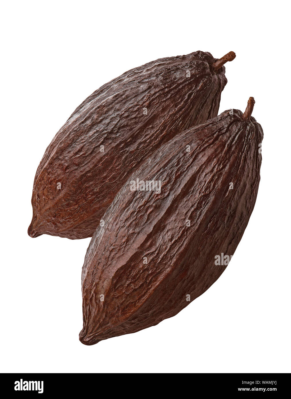 Brown cocoa pods hi-res stock photography and images - Alamy