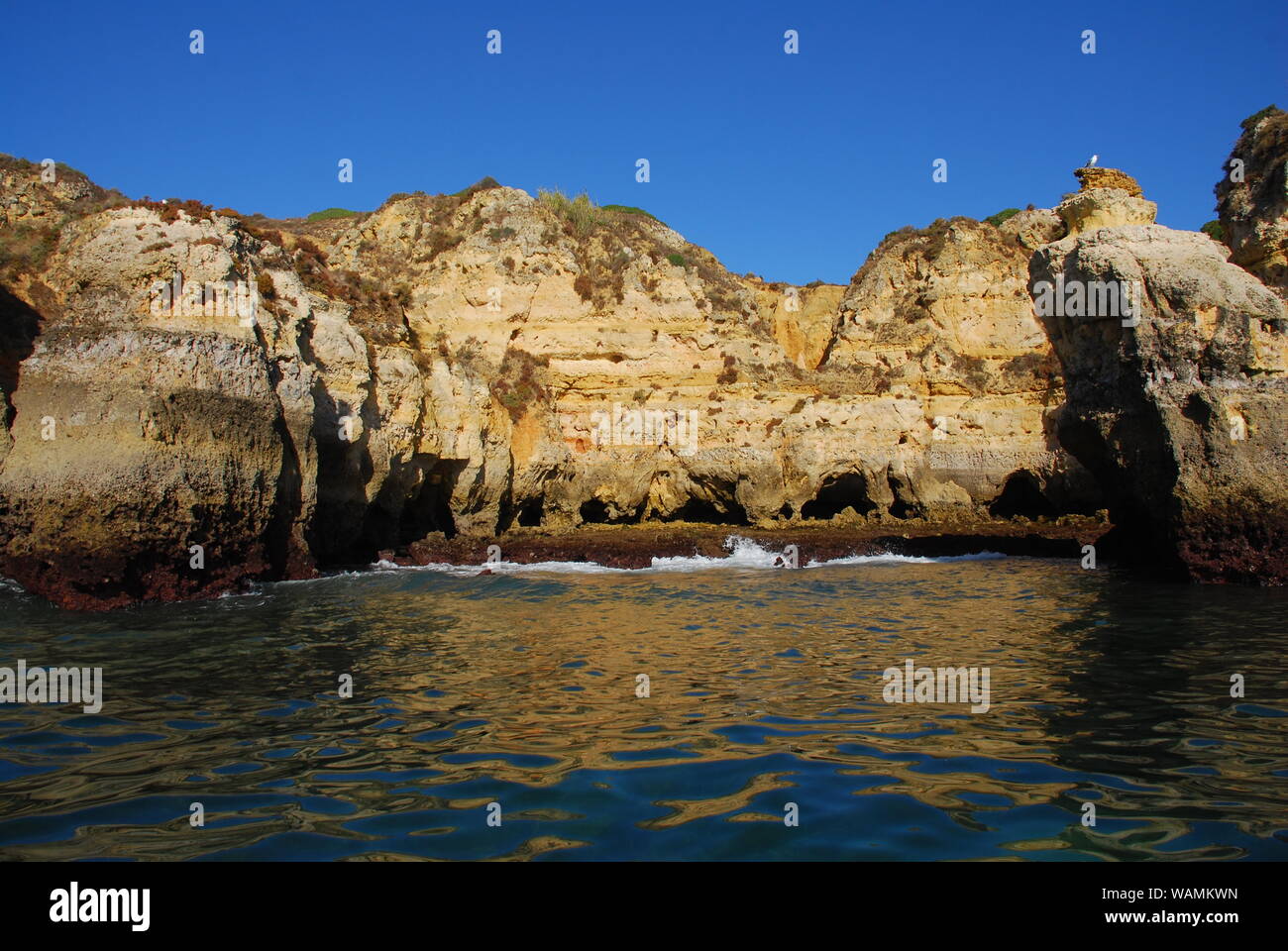 Caves in the cliffs yellow in Lagos in the Algarve Portugal Stock Photo ...