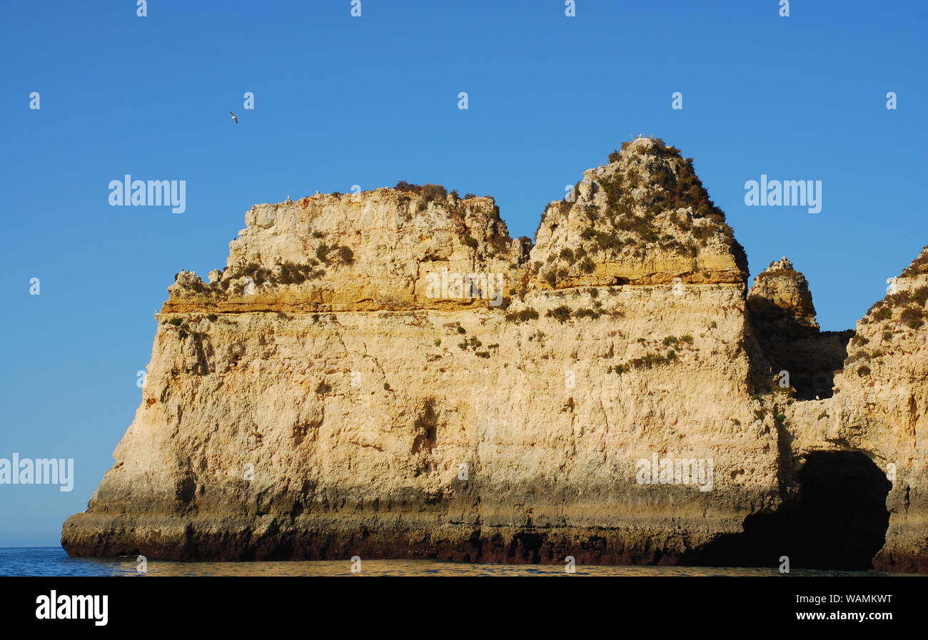 Caves in the cliffs yellow in Lagos in the Algarve Portugal Stock Photo ...