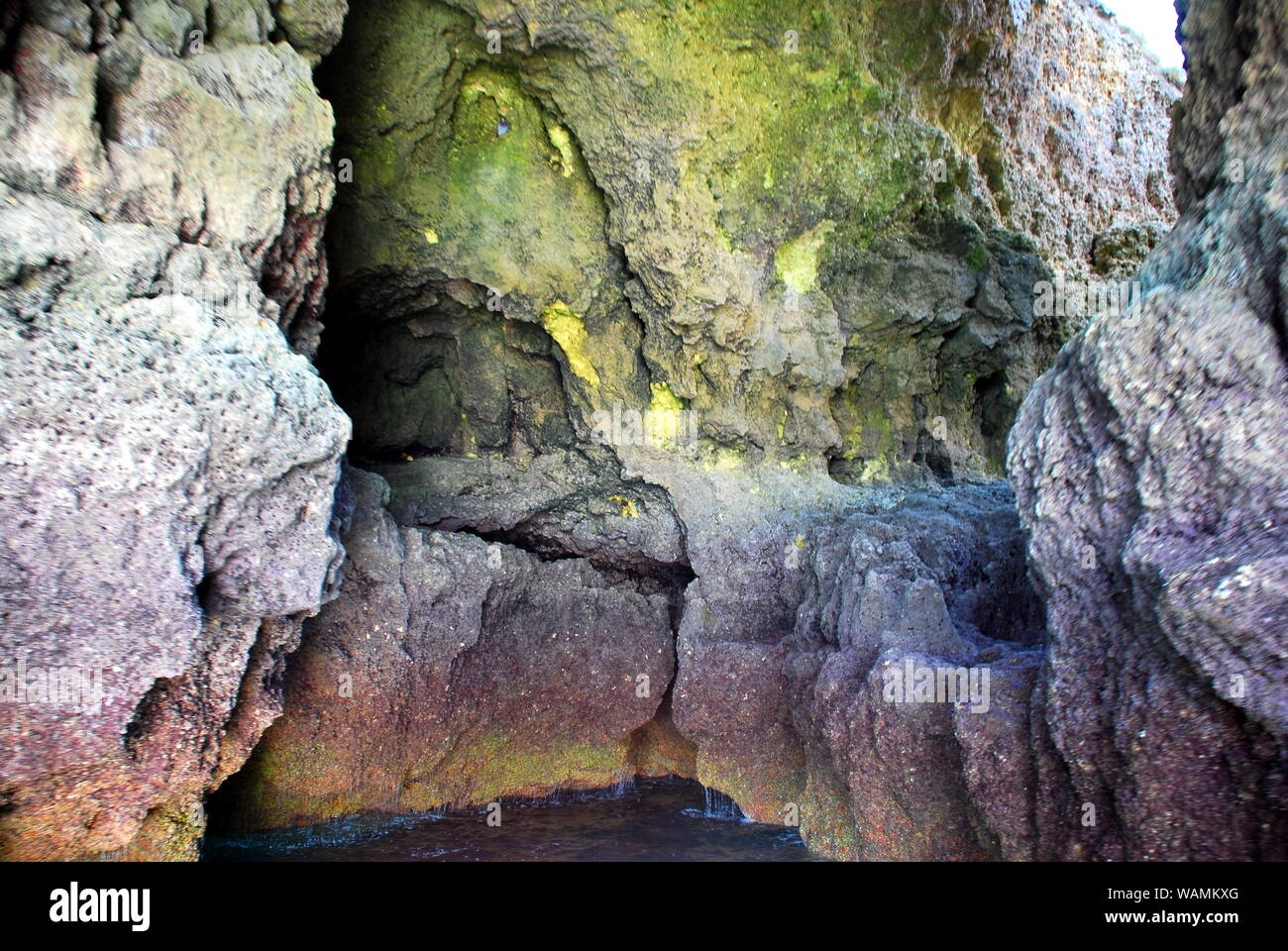 Caves in the cliffs yellow in Lagos in the Algarve Portugal Stock Photo ...