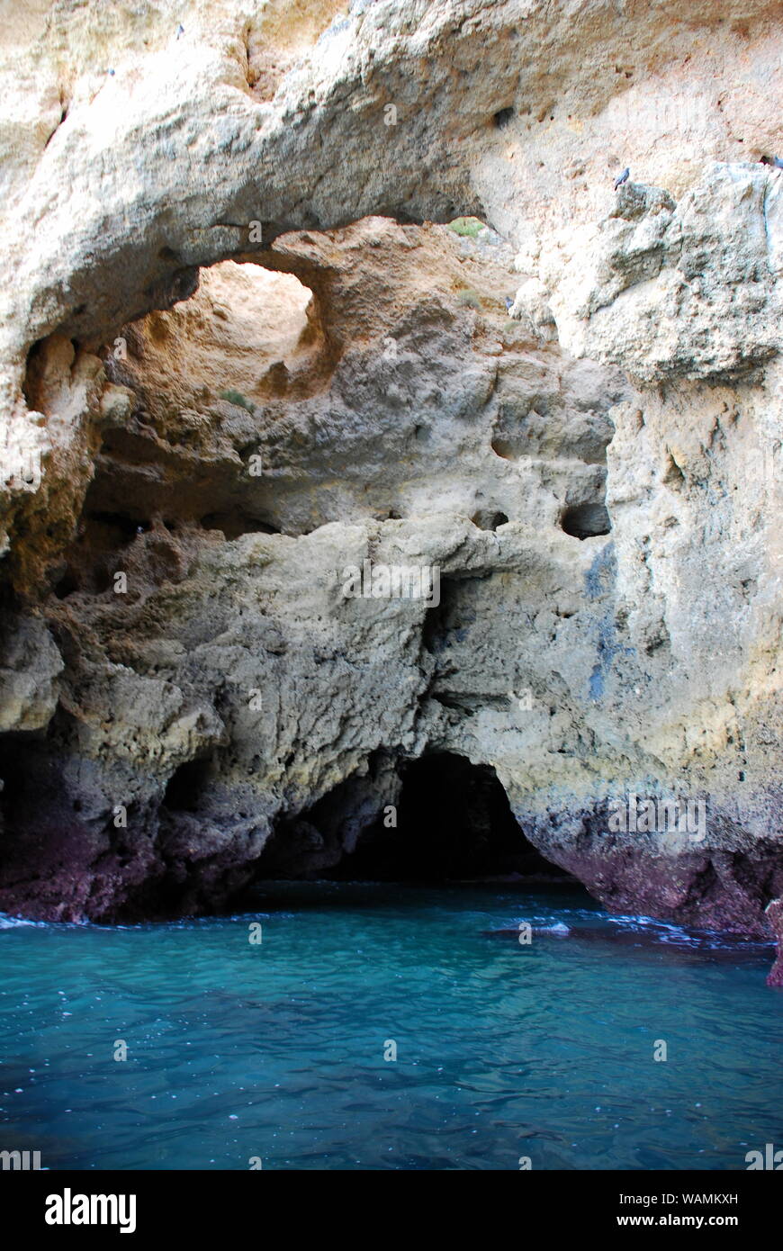 Caves in the cliffs yellow in Lagos in the Algarve Portugal Stock Photo ...