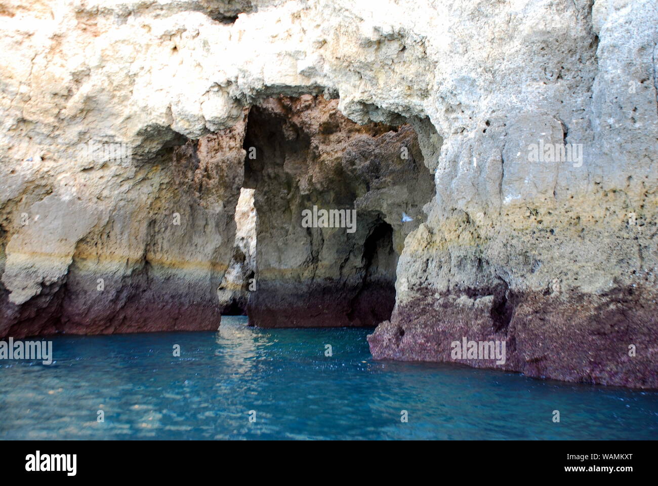 Caves in the cliffs yellow in Lagos in the Algarve Portugal Stock Photo ...