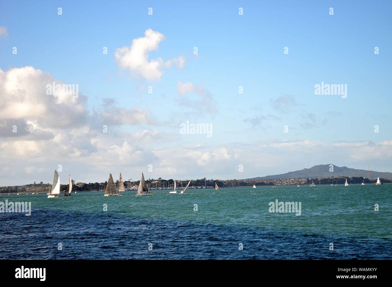 Auckland Harbour High Resolution Stock Photography and Images - Alamy