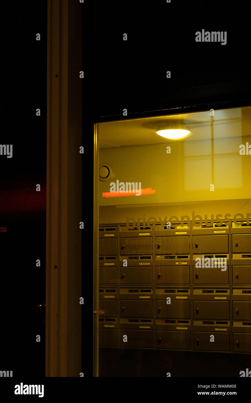 A modern secure building entrance hall window at night with rows of ...