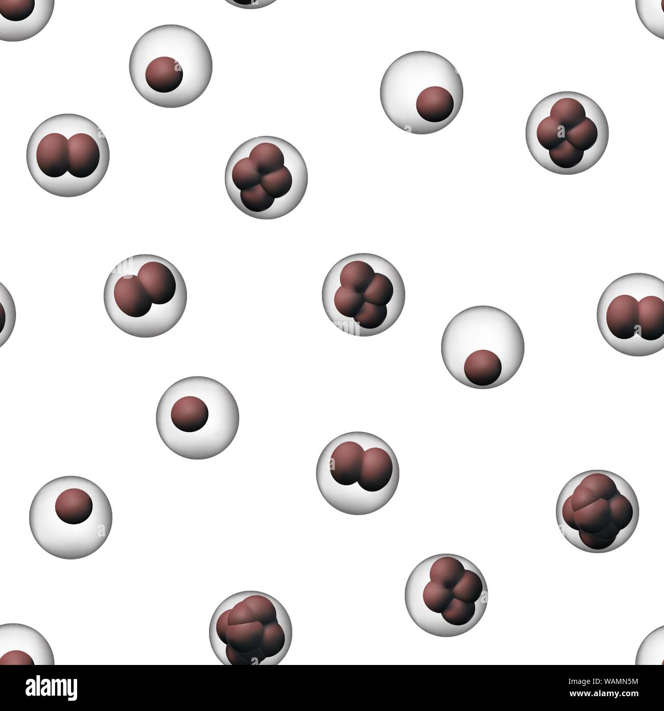 Human life cycle diagram hi-res stock photography and images - Alamy