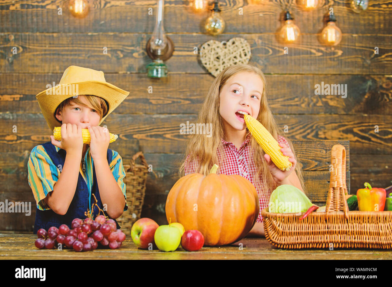 Celebrate harvest festival. Children play corncobs vegetables wooden ...