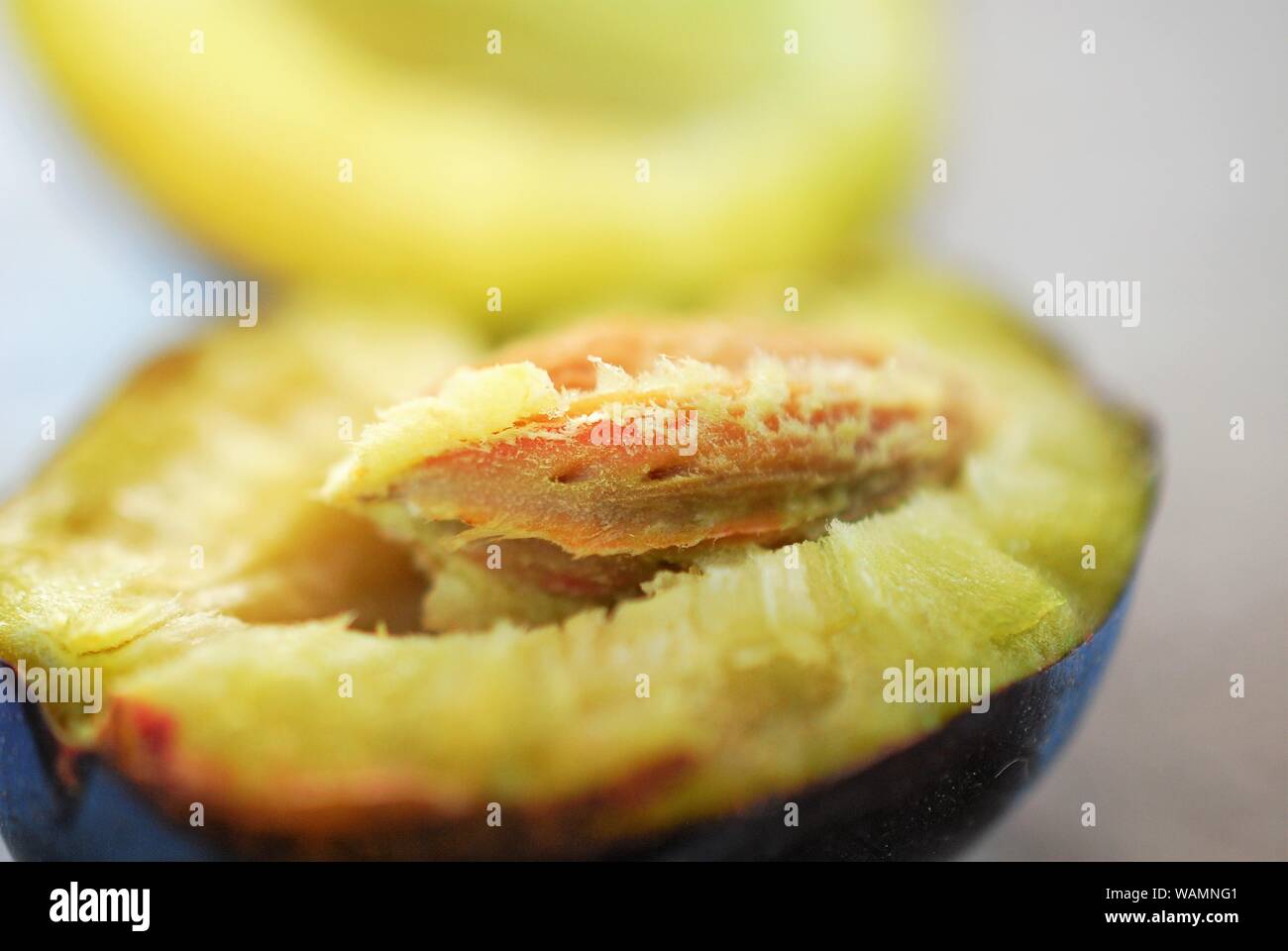 blue plum pit Stock Photo - Alamy