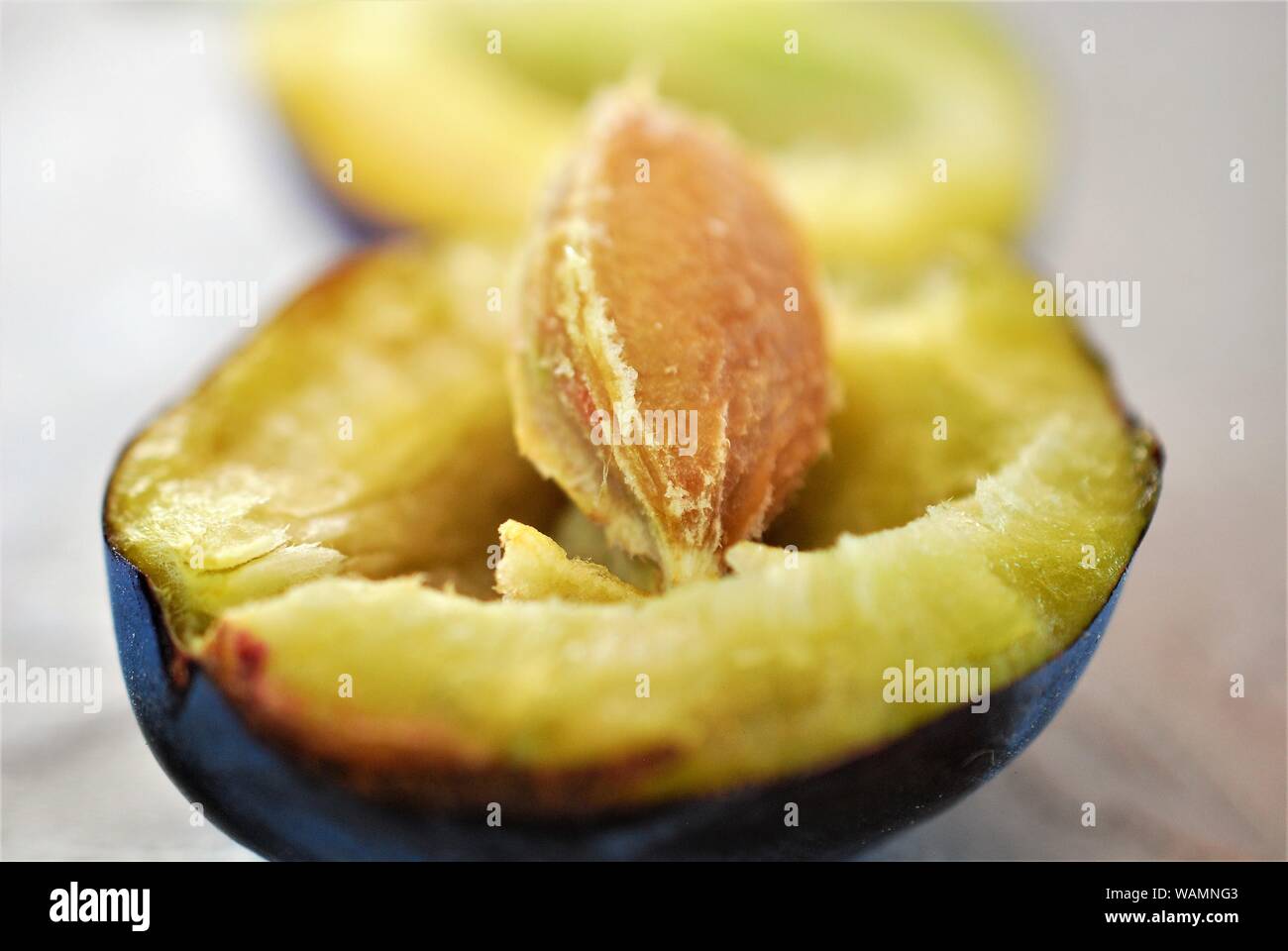 blue plum pit Stock Photo - Alamy