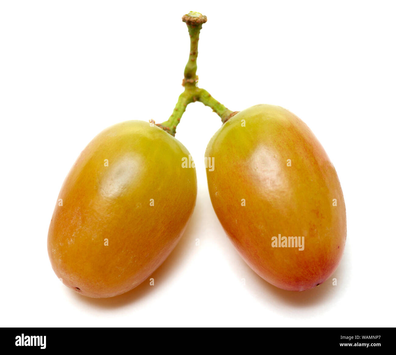 Two Red grapes isolated on white background Stock Photo - Alamy