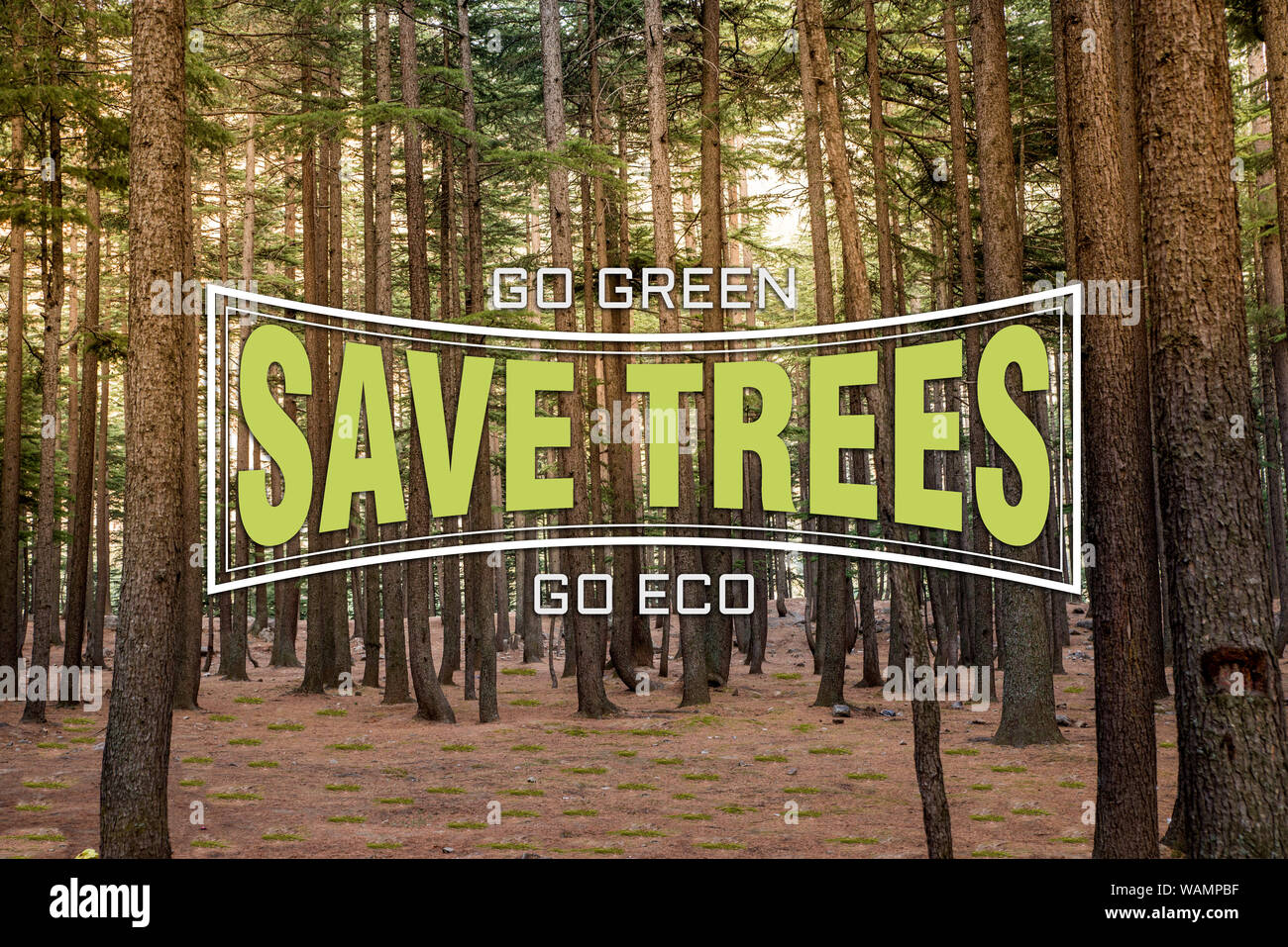 Save trees hi-res stock photography and images - Alamy