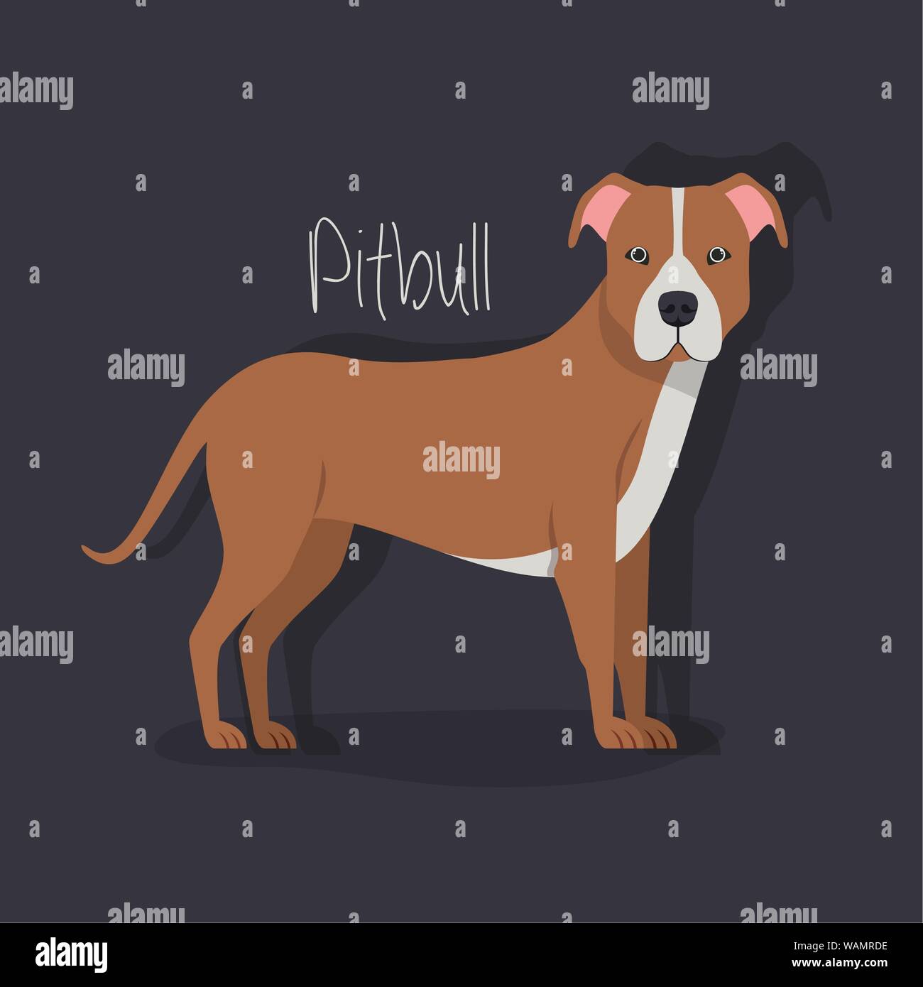 cute pitbull dog pet character Stock Vector Image & Art - Alamy