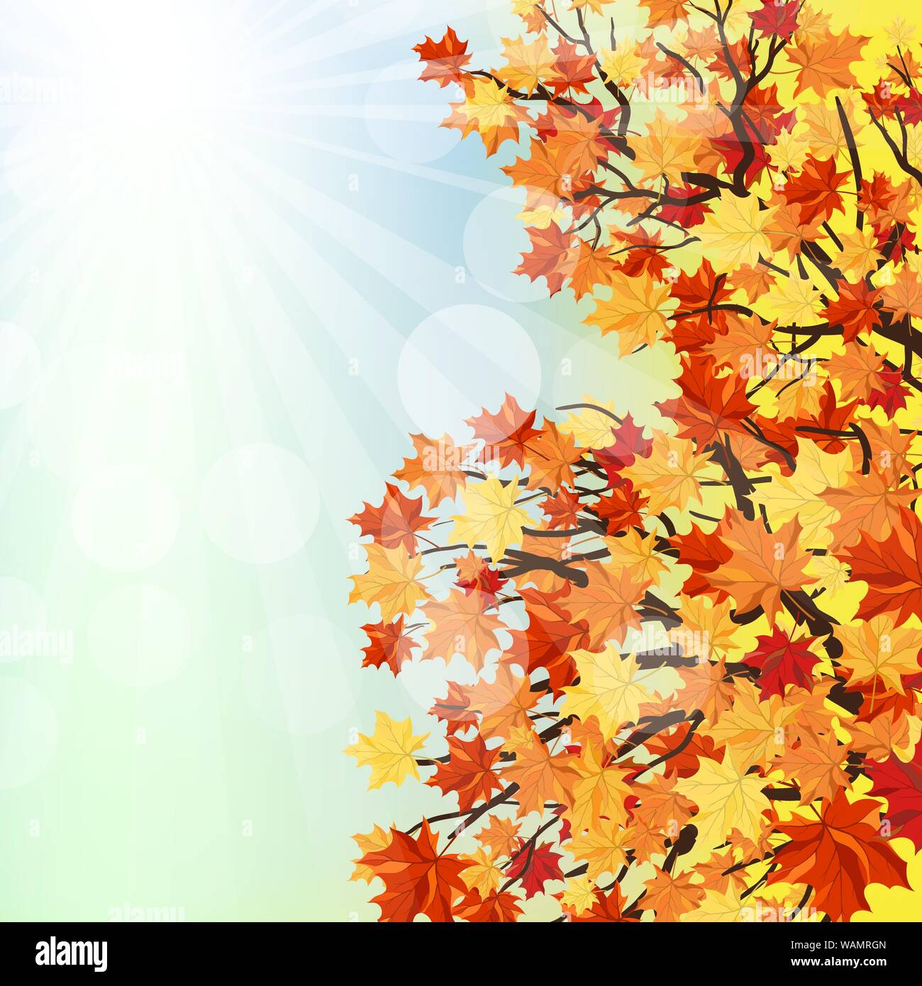 Fall (Autumn) Background With Maple Leaves. Vector Illustration Stock Vector Image & Art - Alamy