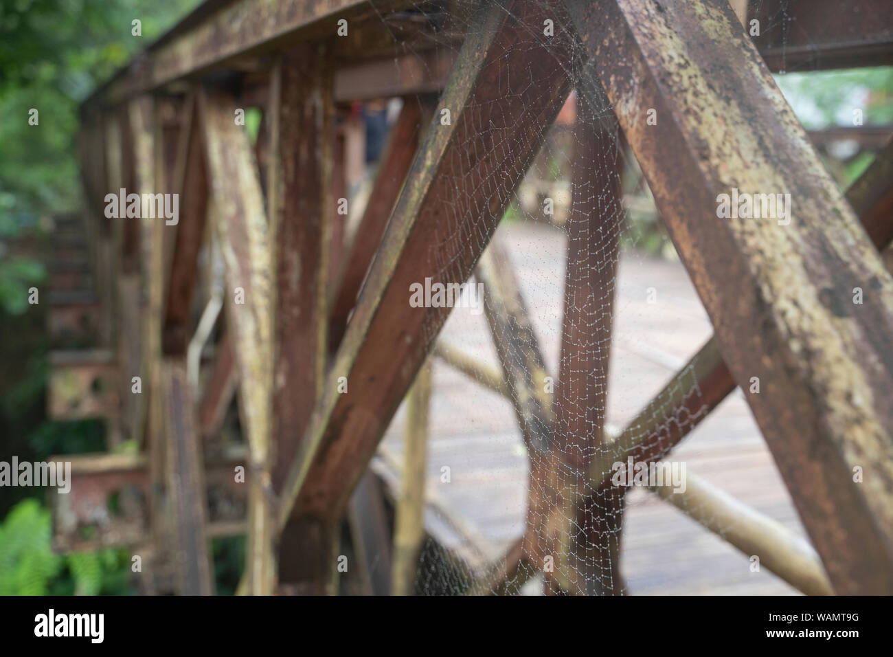 Cobweb, Spider web with water drop was built on these ancient iron ...
