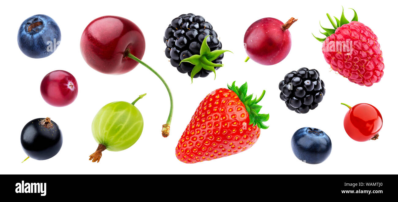 Berries collection isolated on white background with clipping path ...