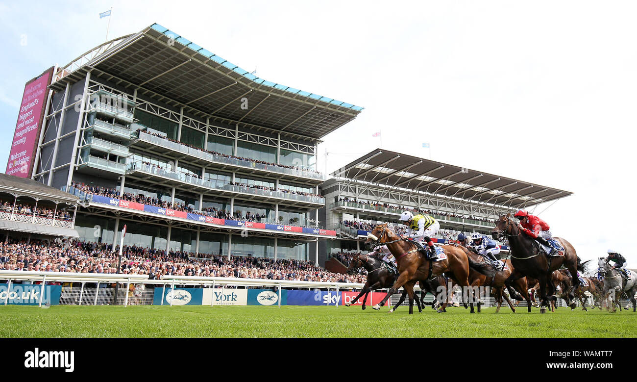 Dakota gold horse hi-res stock photography and images - Alamy