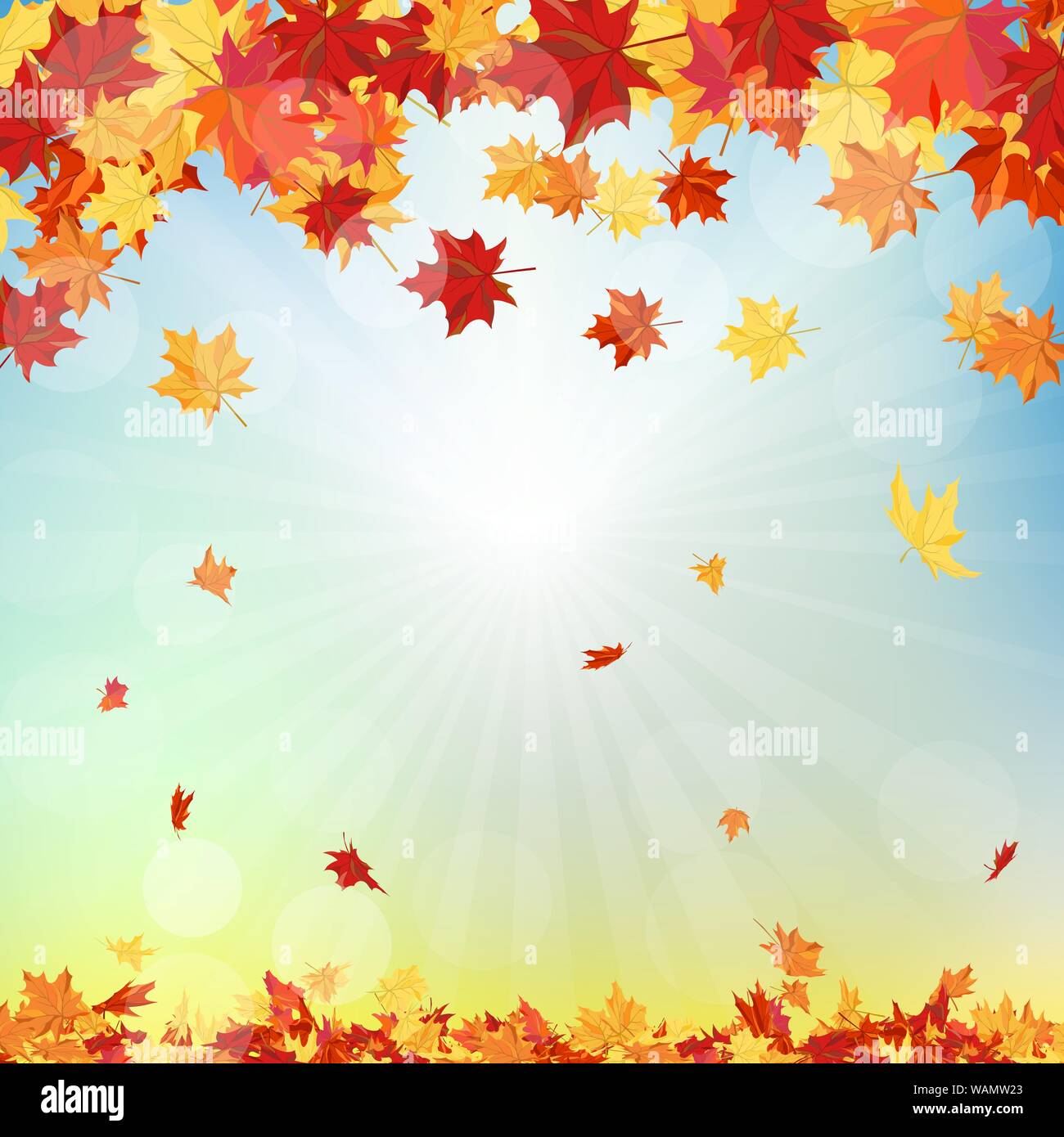 Fall (Autumn) Background With Maple Leaves. Vector Illustration Stock ...