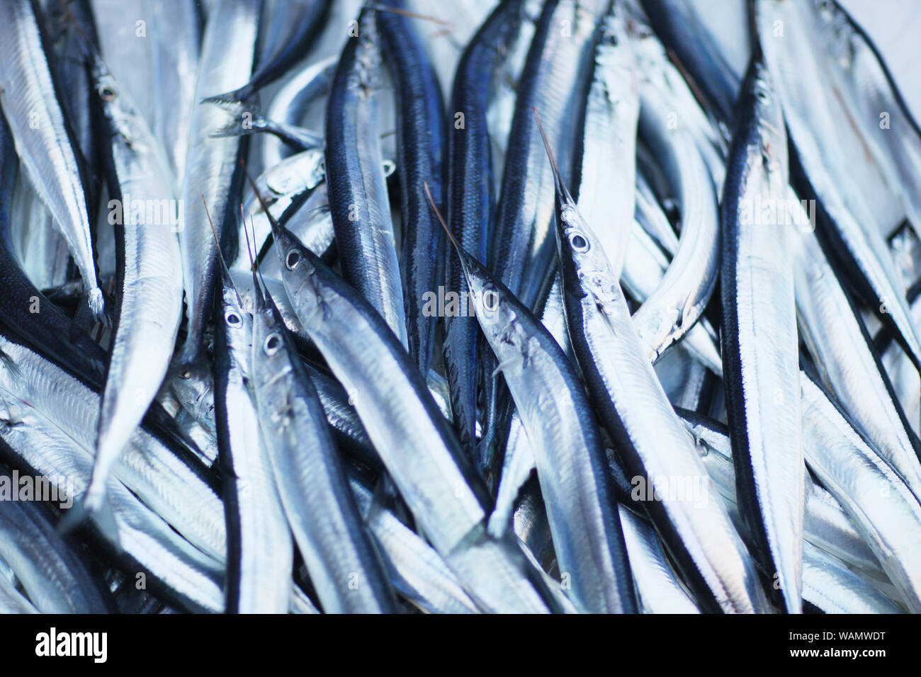 Fresh delicacy fish on the fish market counter Stock Photo - Alamy