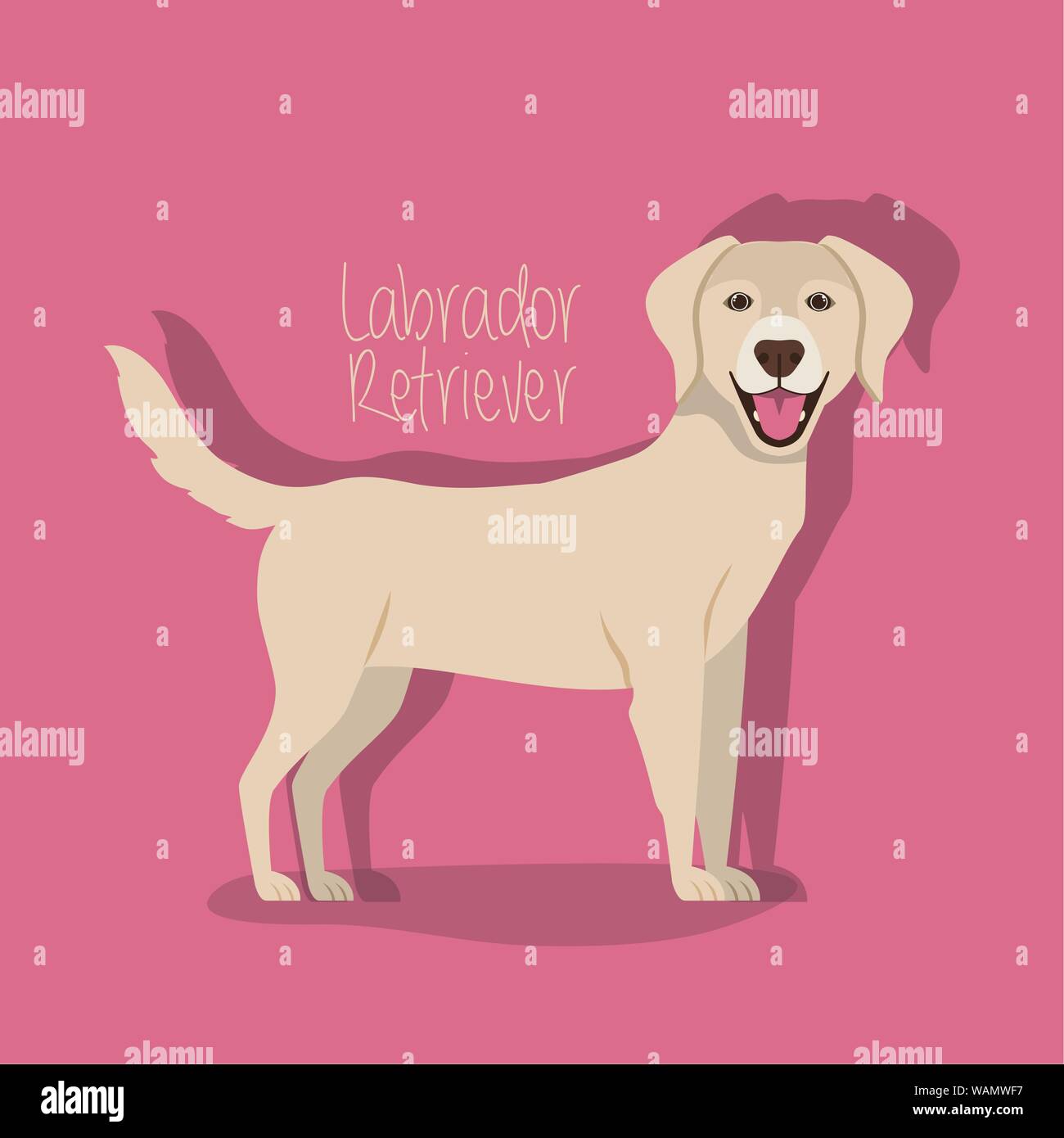 Beautiful golden labrador Stock Vector Images - Alamy