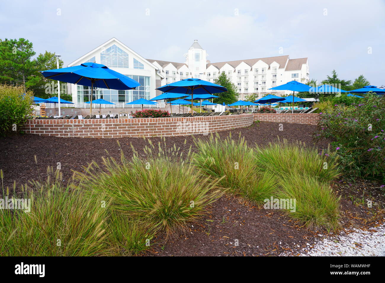 CAMBRIDGE, MD -15 AUG 2019- View of the Hyatt Regency Chesapeake Bay Golf Resort, Spa and Marina ...