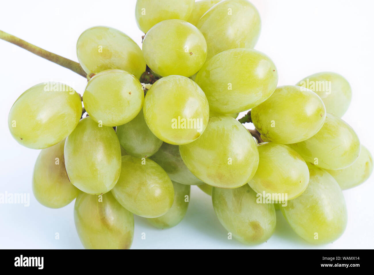 Green grape isolated on white. With clipping path. Full depth of field ...