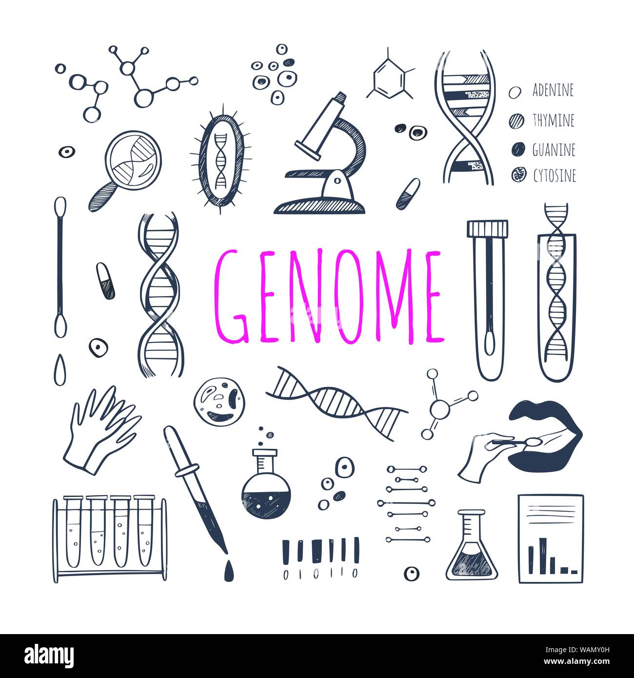 Genetic engineering and medical research vector background. DNA helix ...