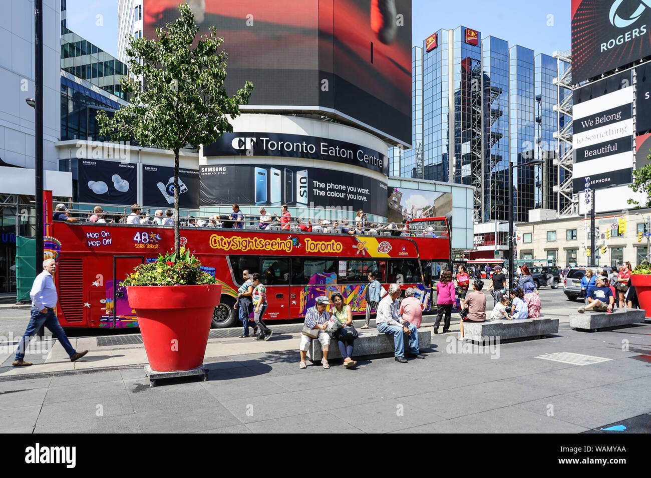 Toronto city tour bus or city sightseeing bus Stock Photo - Alamy