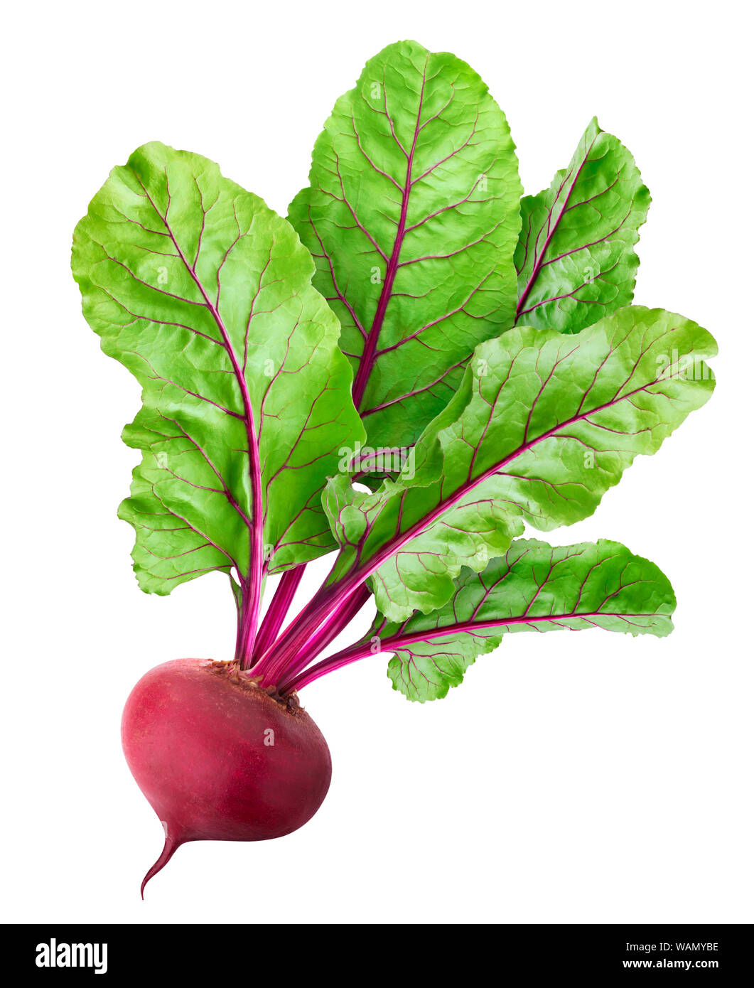 Beetroot isolated on white background with clipping path Stock Photo ...