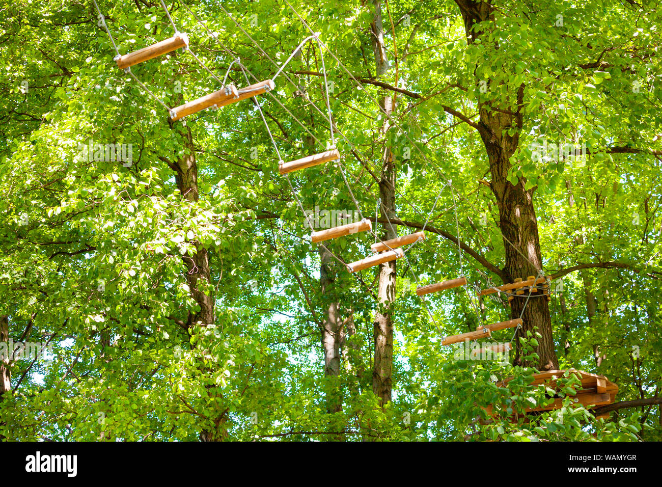 Ropes park suspended path walk high on the trees Stock Photo - Alamy