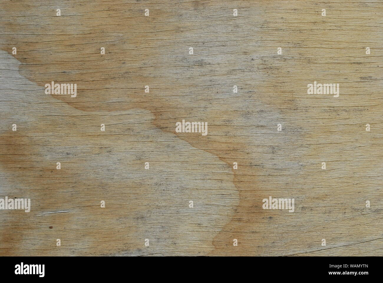 Wood section detail Stock Photo - Alamy