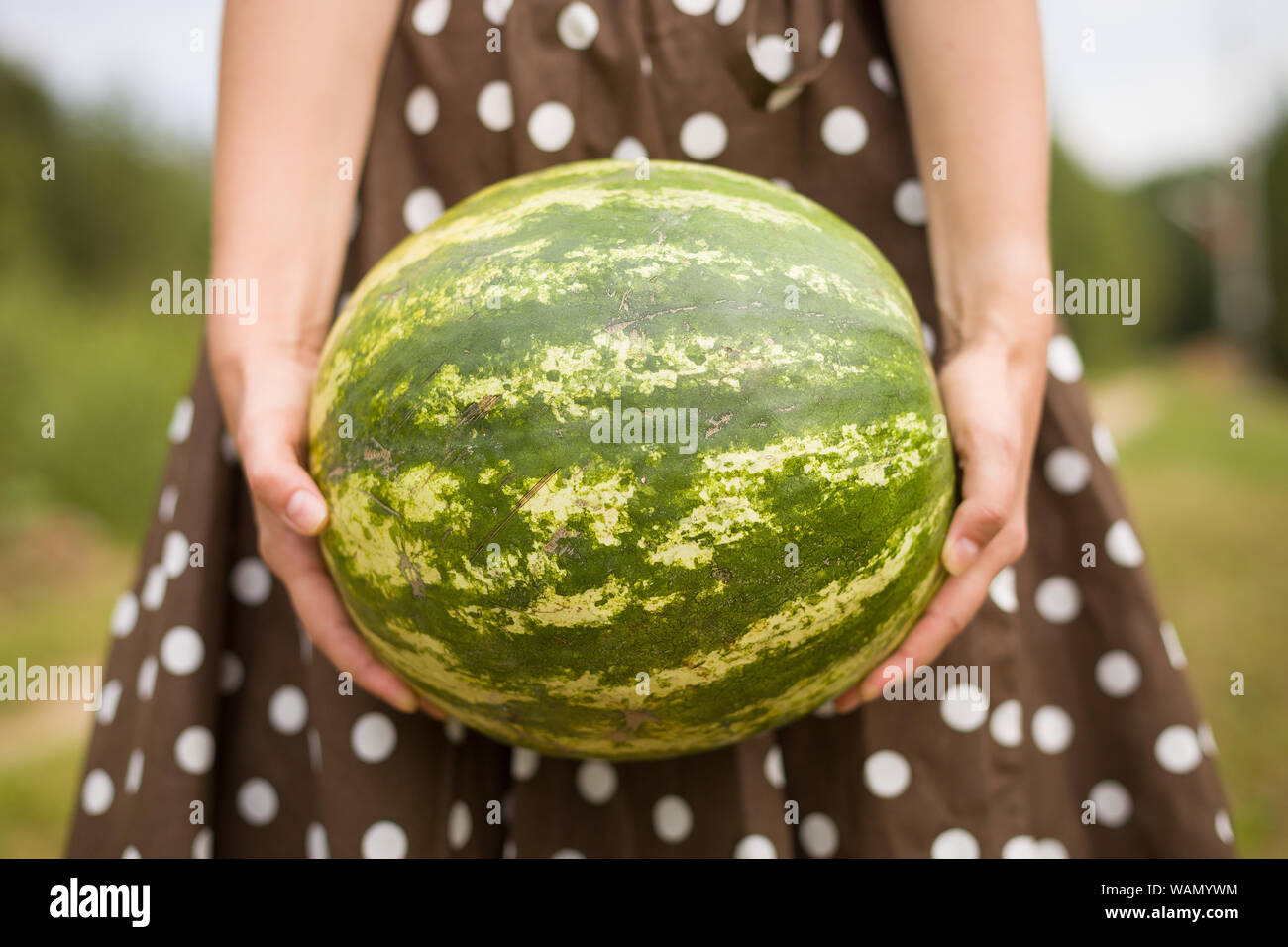 Woman in a brown dotted dress holding a big watermelon in her hands ...
