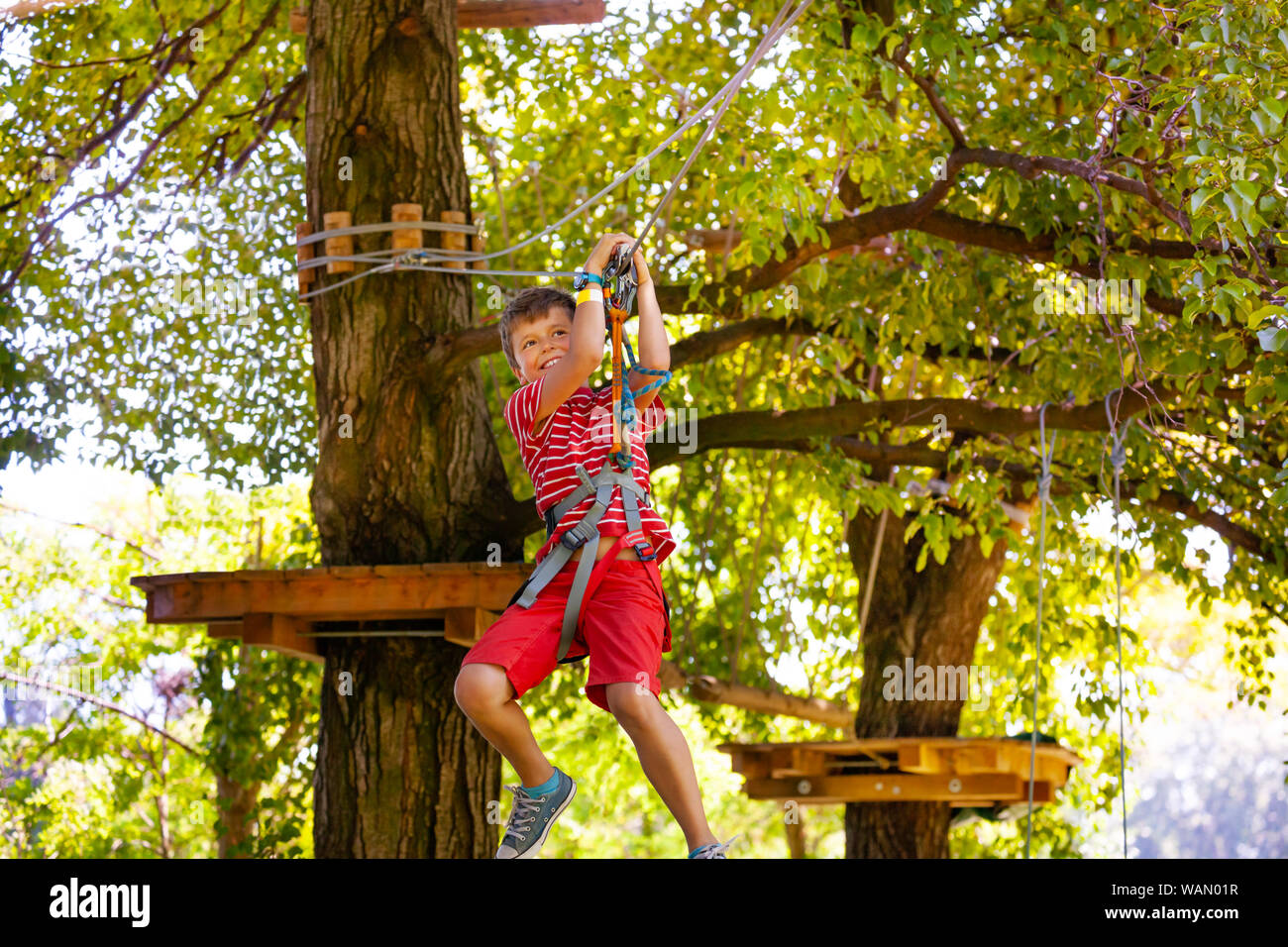 Fun on zip line boy slide from one tree to another Stock Photo - Alamy