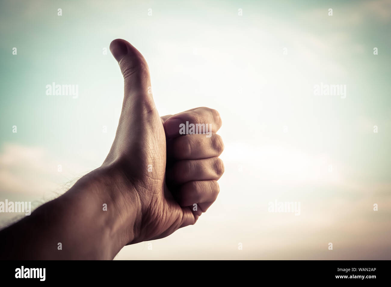 Winner approve hi-res stock photography and images - Alamy