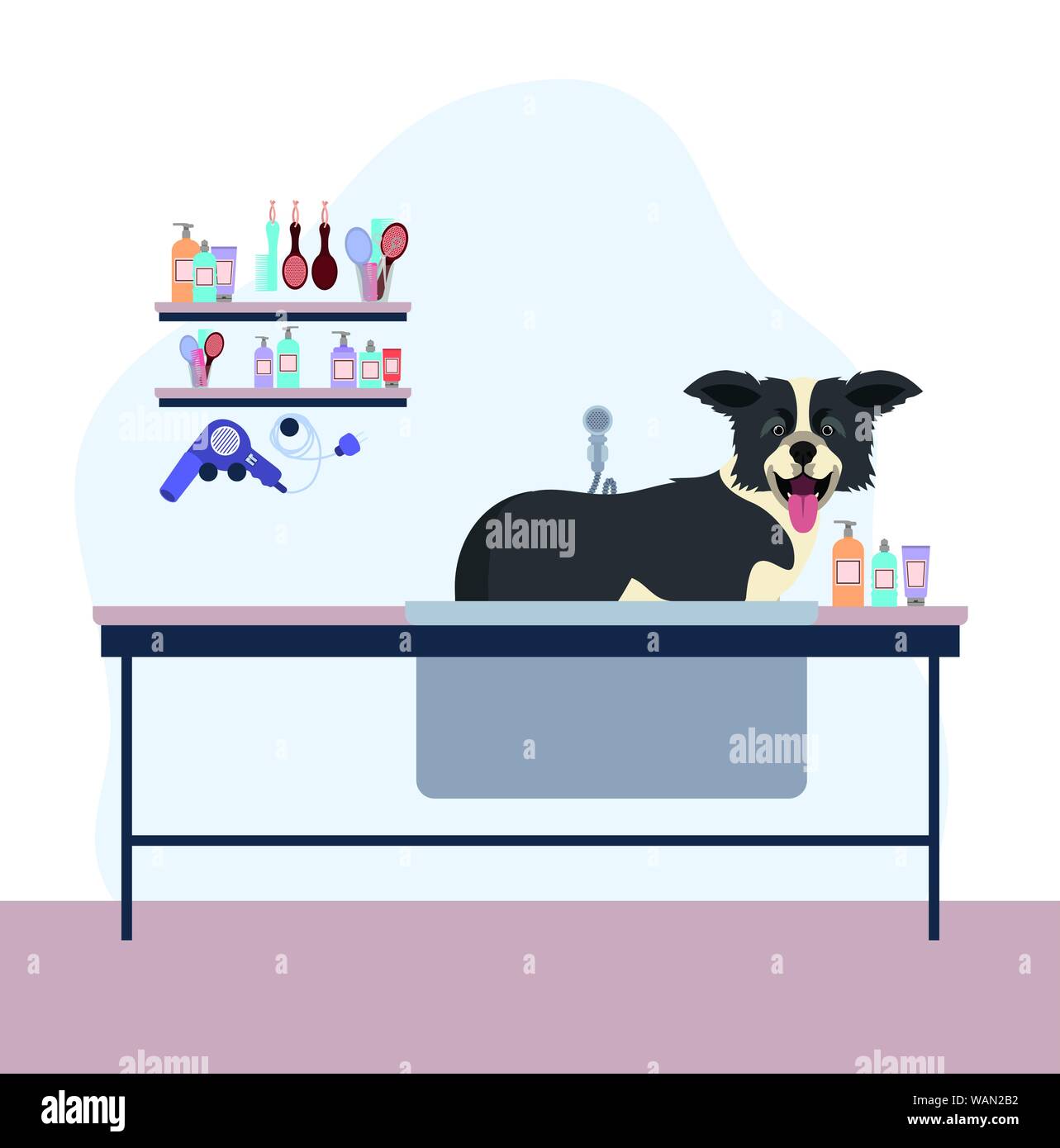 Cute black white border collie Stock Vector Images - Alamy