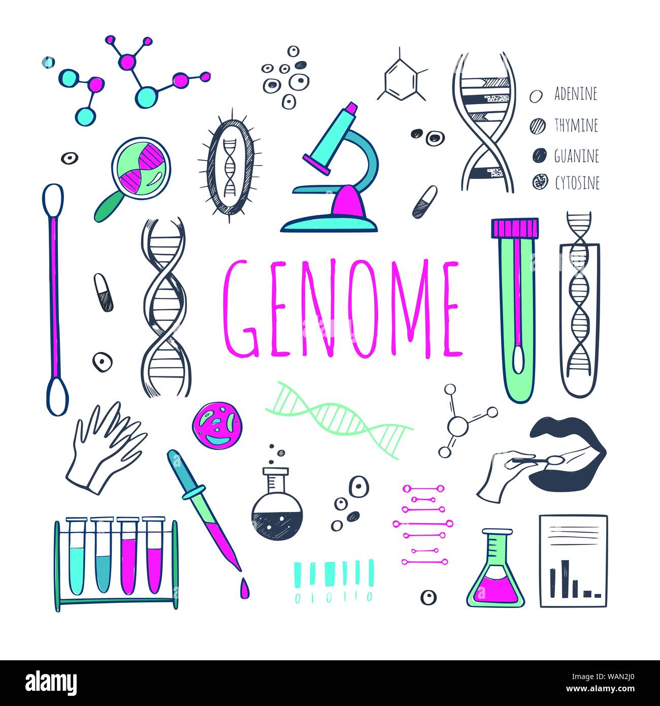 Genetic engineering and medical research vector background. DNA helix ...