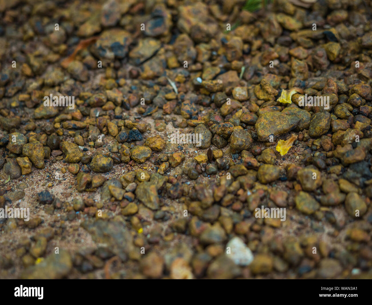 Gravel floor hi-res stock photography and images - Alamy