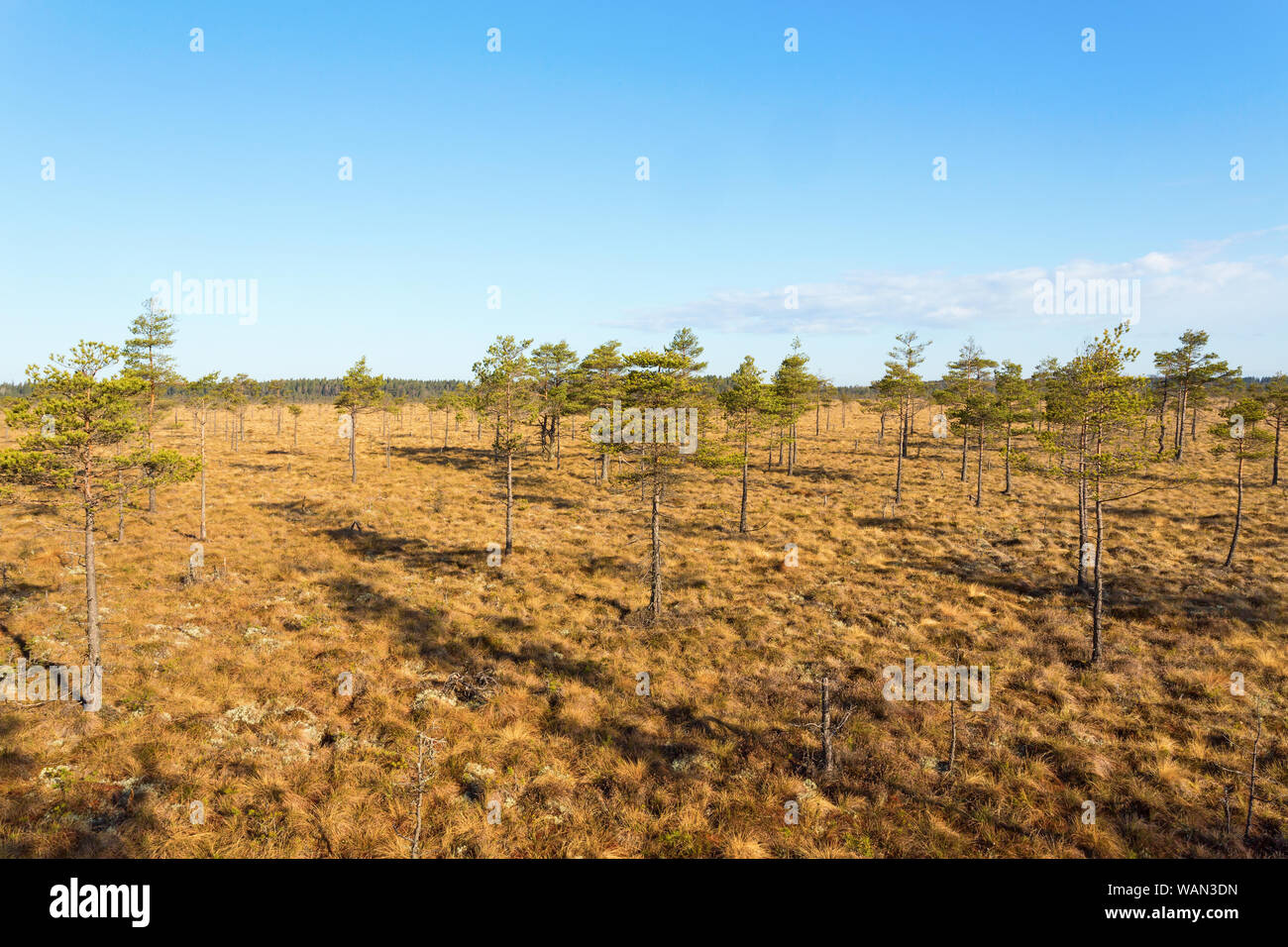Peatland landscape hi-res stock photography and images - Alamy