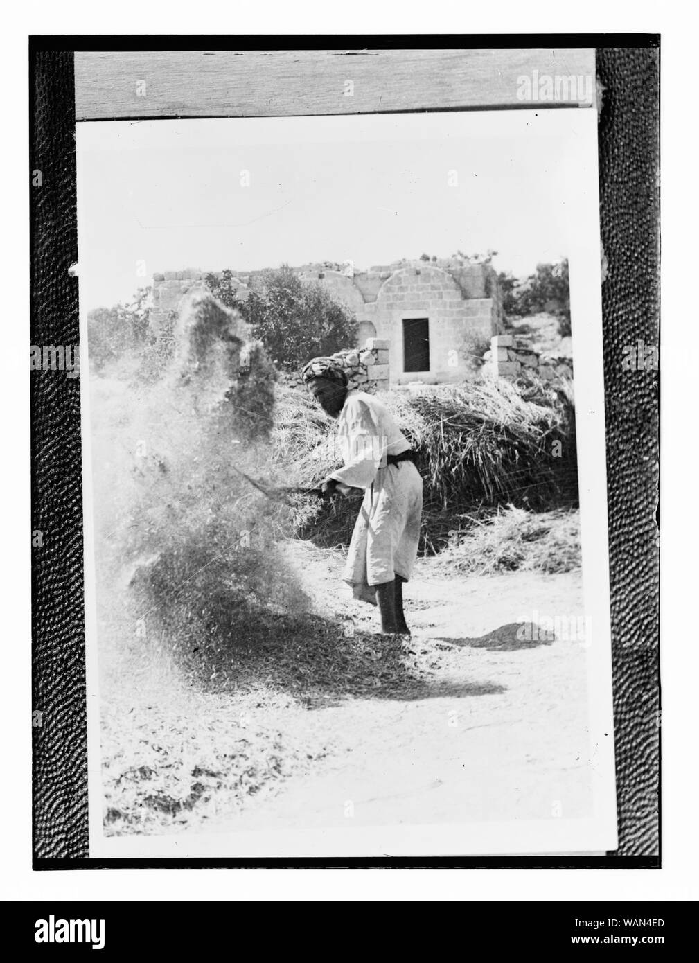 Copy of a photograph showing a man winnowing Stock Photo - Alamy