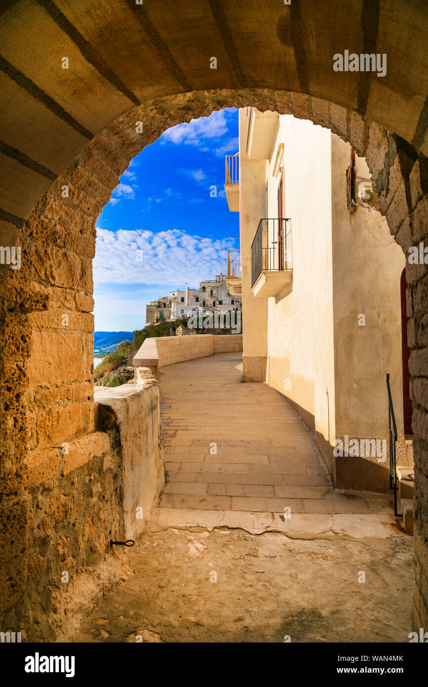 Italian holidays, beautiful coastal town in Puglia - Vieste Stock Photo ...