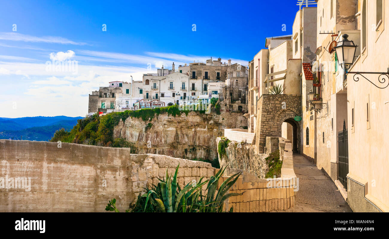 Italian holidays, beautiful coastal town in Puglia - Vieste Stock Photo ...