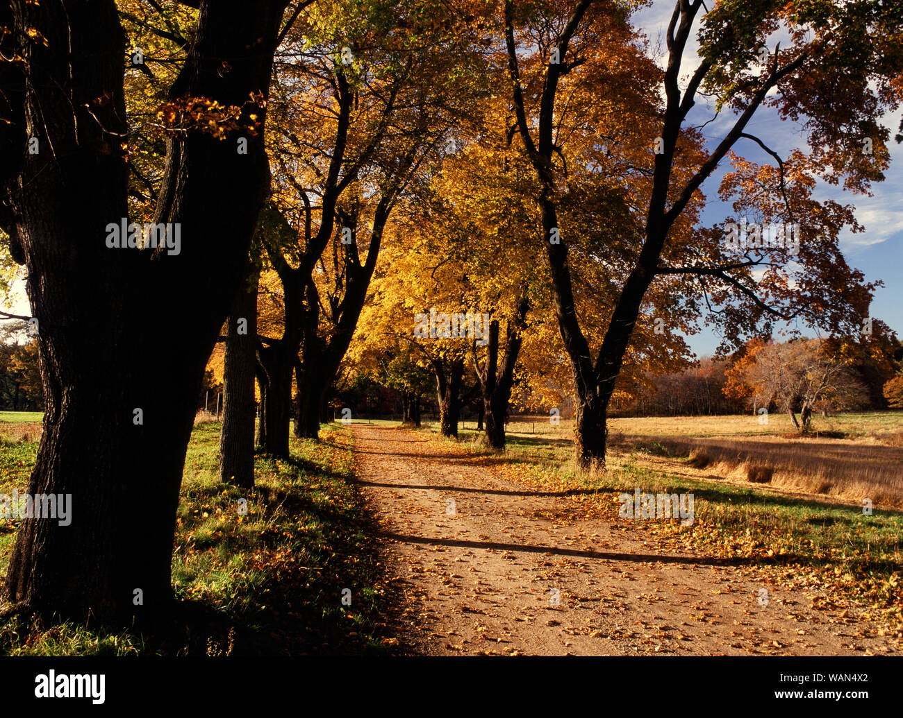 Autumn country road in Hamilton, Massachusetts Stock Photo - Alamy