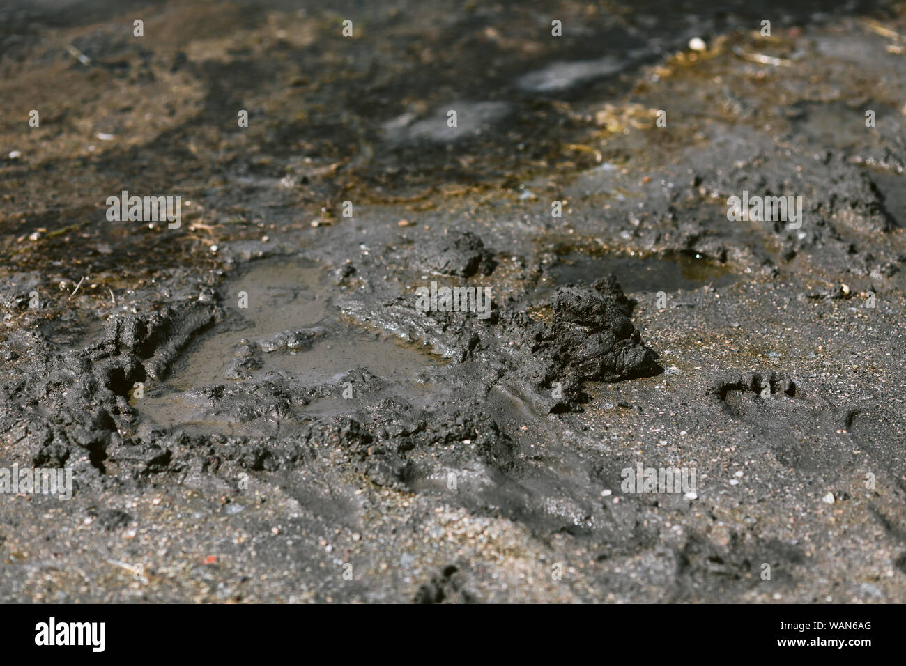 Therapeutic mud clay black for background. healing mud Stock Photo - Alamy