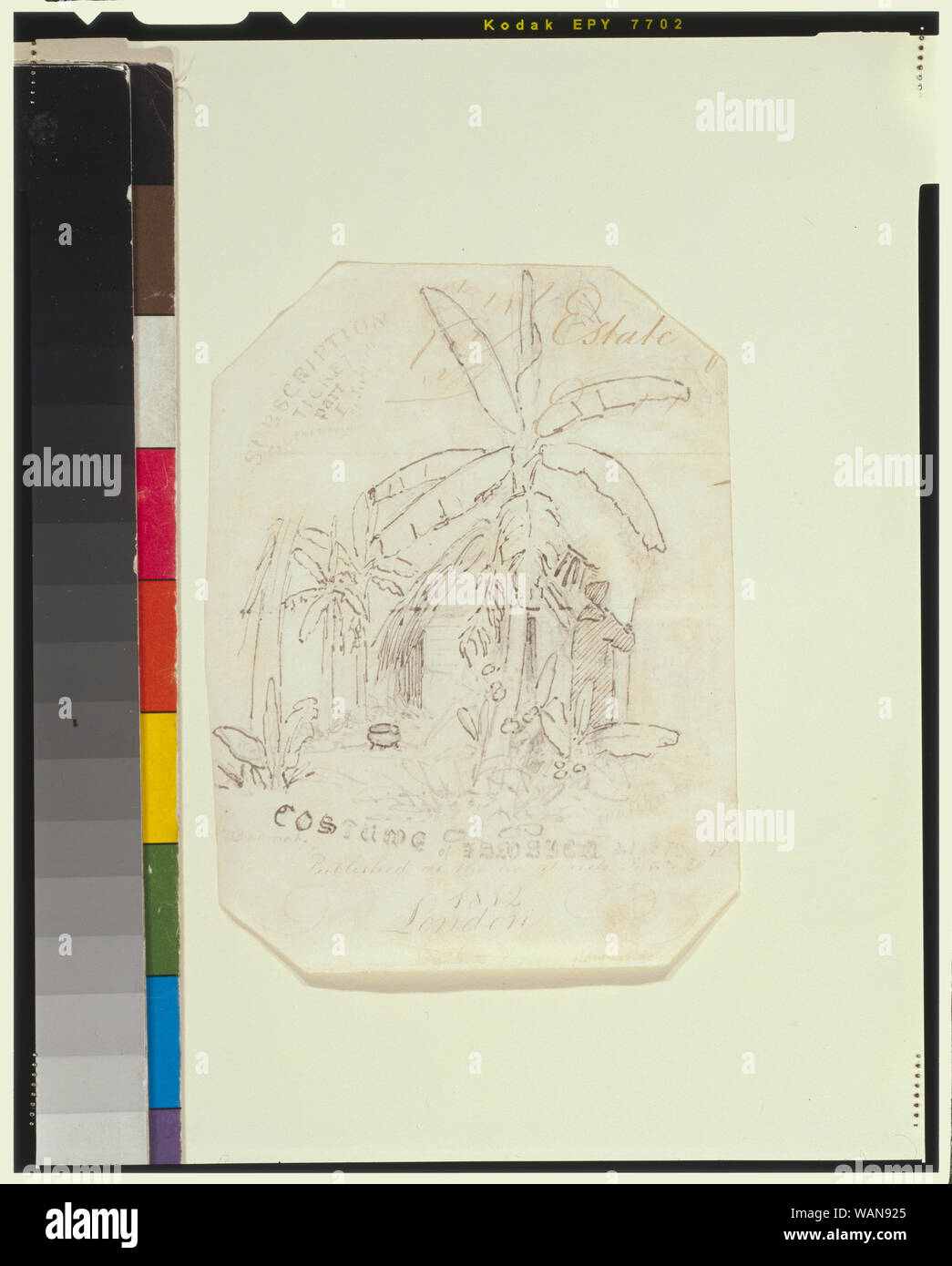 Costume of Jamaica / Watchman Stock Photo - Alamy