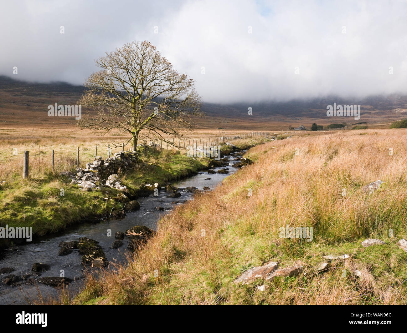 Afon Crawcwellt on the Crawcwellt moors, in the shadow of the Rhinog ...