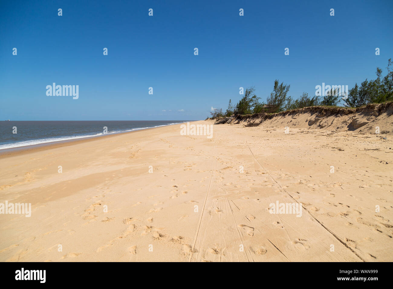 Beautiful isolated beach in Mozambique Stock Photo - Alamy