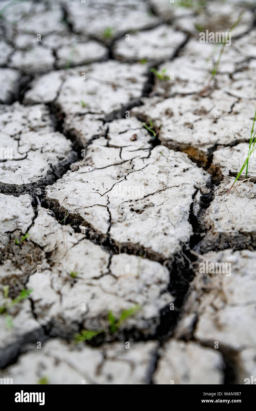 Dried ground in an agricultural field. Dry weather conditions due to ...