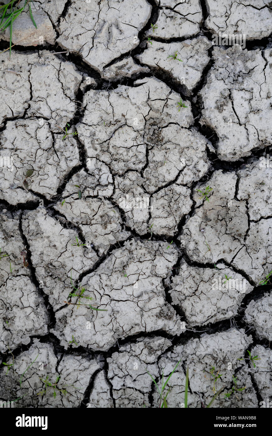 Dried ground in an agricultural field. Dry weather conditions due to ...